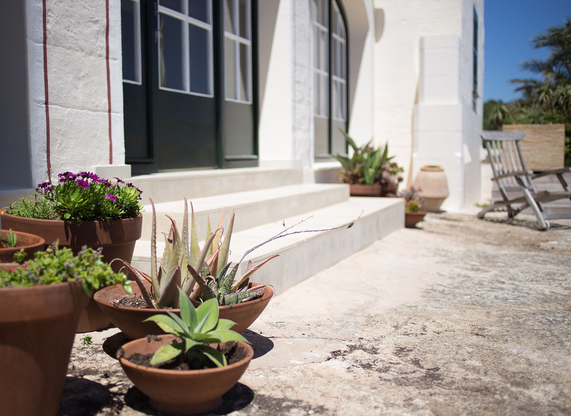 Wildfitness Menorca - Wildfitness